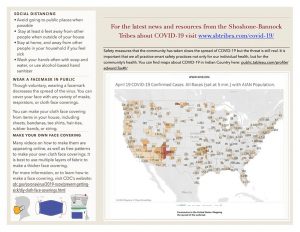 COVID-19 Stay Healthy Brochure | Shoshone-Bannock Tribes