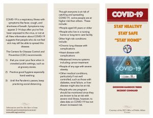COVID-19 Stay Healthy Brochure | Shoshone-Bannock Tribes